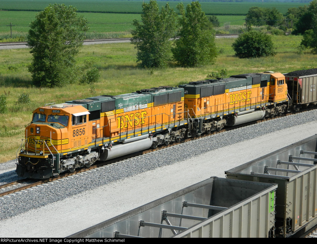 BNSF 8856 Leading Coal